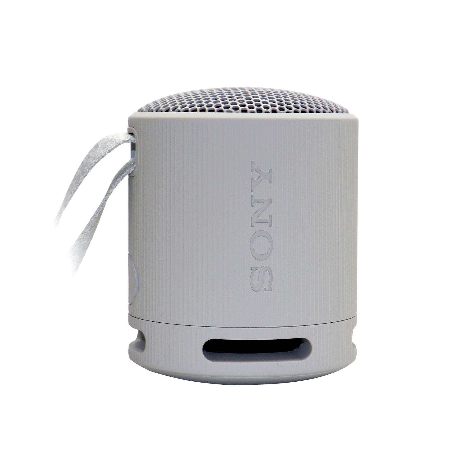 Sony XB100 Portable Waterproof Bluetooth Speaker (Gray) – Teds Electronics