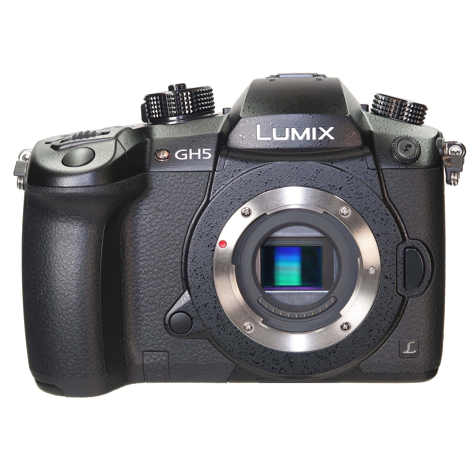 Panasonic Lumix DC-GH5 Mirrorless Micro Four Thirds Digital Camera (Bo ...