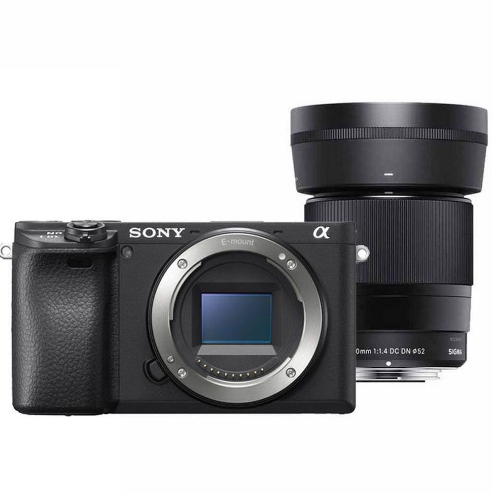 Sony Alpha a6600 Mirrorless Digital Camera Body + Sony FE 50mm F1.8 St ...